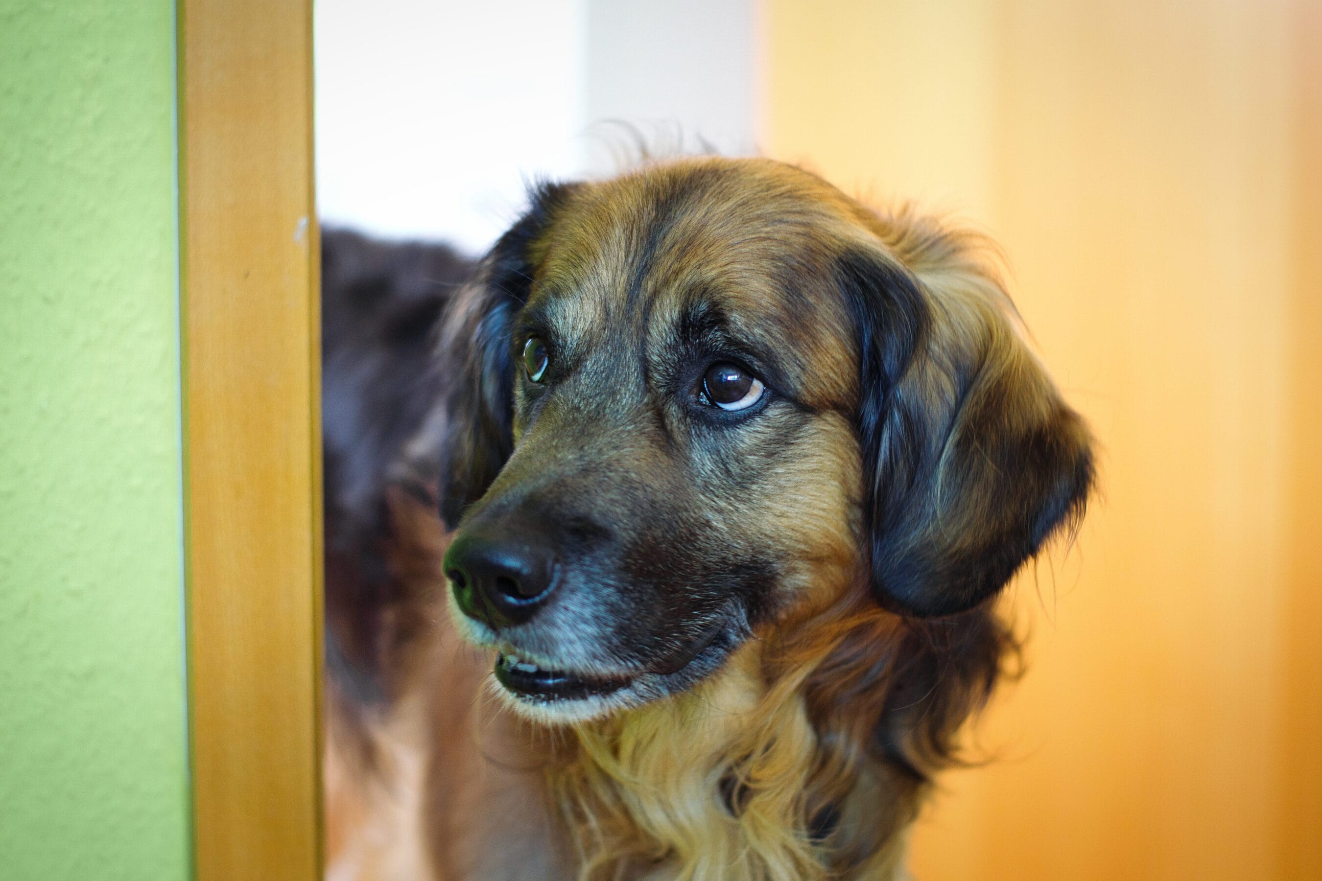 Sacht ma Leute, ihr habt hier doch einen Käse aufgemacht oder? Frage ...